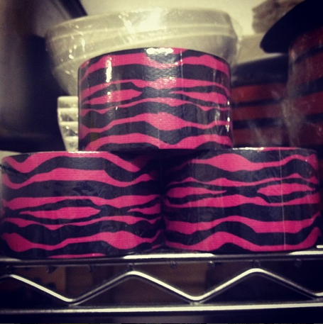 Pink Zebra SF from Jesse Koide, Coming This October | The Chatterbox ...