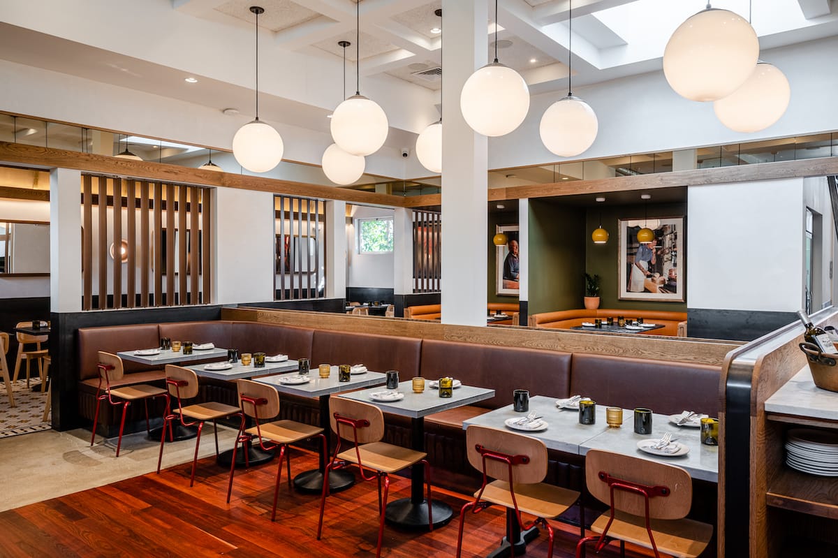 The Big Comeback: Delfina Returns This Wednesday October 26th | The ...