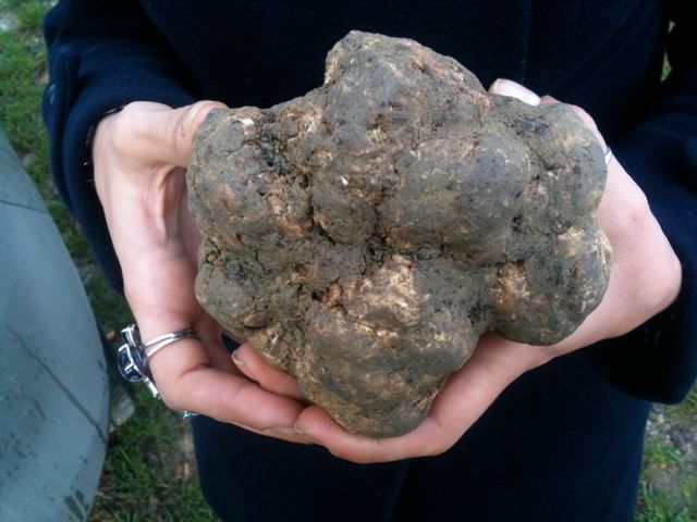 Indulge in Truffle Season with These Special Dinners and Events | The ...