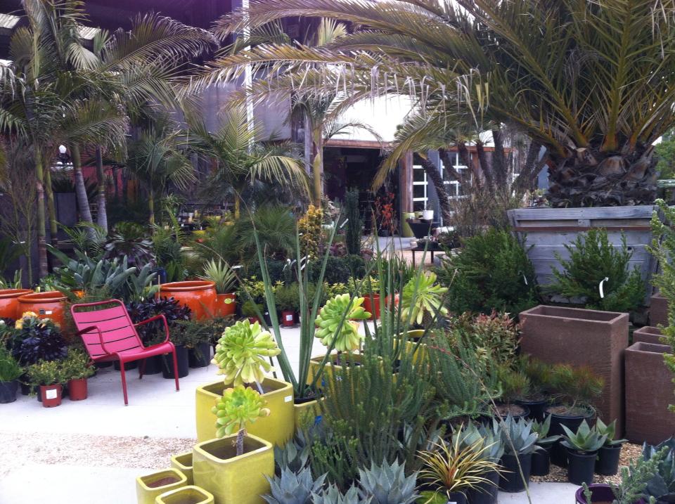 Salute Spring at Flora Grubb Gardens | The Socialite | tablehopper